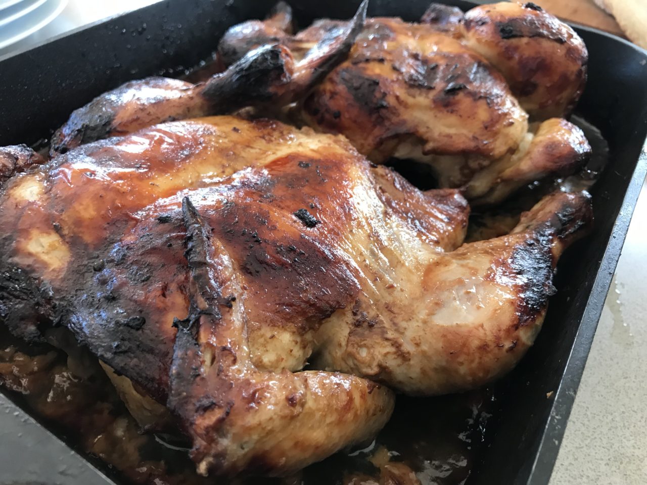 Chicken Lady Chicken